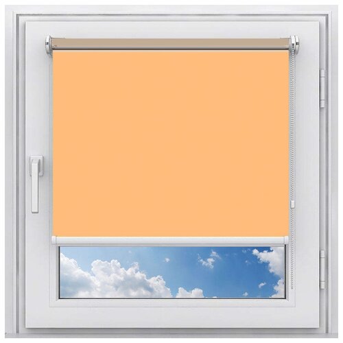 Рулонная штора Эко оранжевый 55х180 см