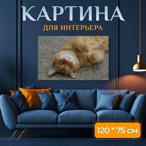 Картина на холсте "Рыжий кот, обход контента, гатто" на подрамнике 120х75 см. для интерьера