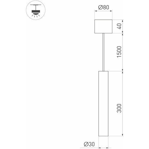 Светильник SP-PIPE-HANG-L300-R30-9W Day4000 (BK, 24 deg, 230V) (Arlight, IP20 Металл)