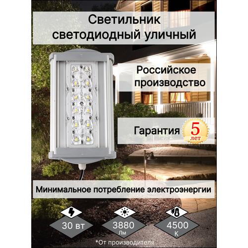 Светильник уличный светодиодный ССУл-30 LED/прожектор на столб, на потолок, на стену /Фонарь на дачу для сада и улицы 220V 30W 4000/5000 K 3880lm IP67