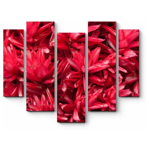 Модульная картина Красные тропические цветы161x131