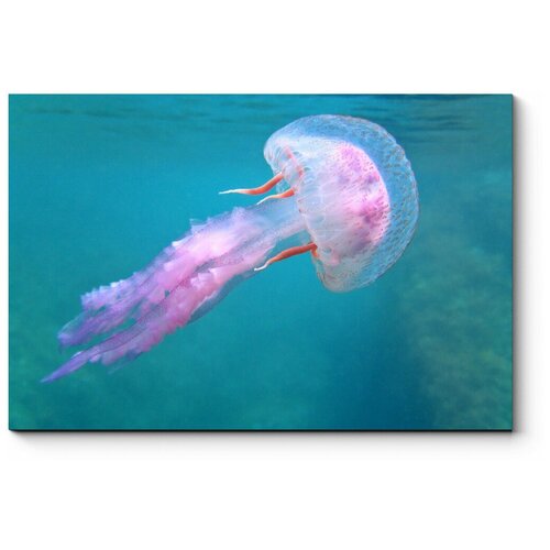 Модульная картина Опасная розовая красавица-медуза 80x53