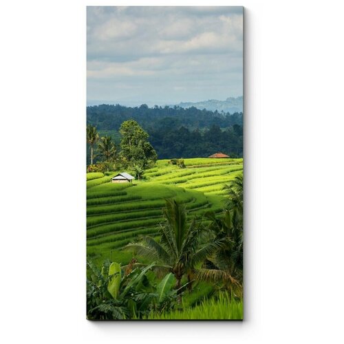 Модульная картина Бали, рисовые поля 90x180