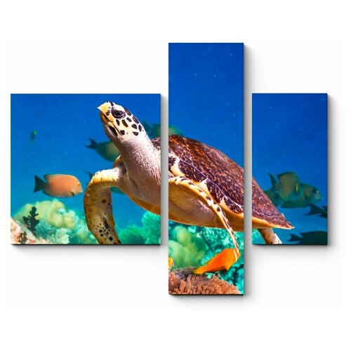 Модульная картина Черепаха в коралловом рифе80x66