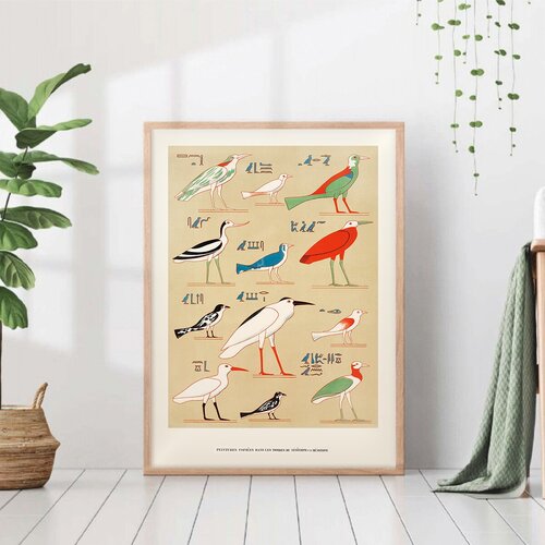 Постер без рамки "Птицы в египетском стиле иллюстрация" 50 на 70 в тубусе / Картина для интерьера / Плакат / Постер на стену / Интерьерные картины