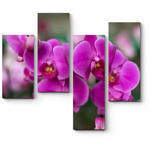 Модульная картина Прекрасные и нежные орхидеи 94x88