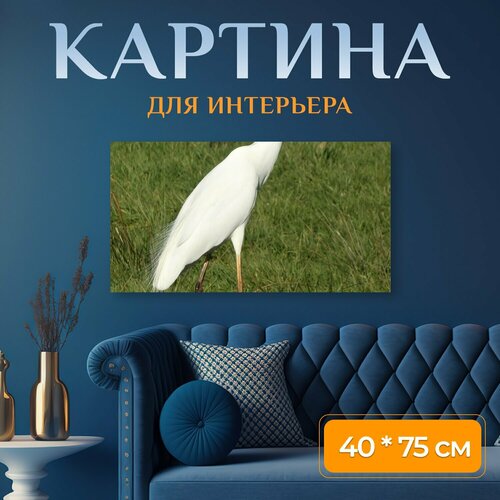 Картина на холсте "Белая цапля, птица, перья" на подрамнике 75х40 см. для интерьера