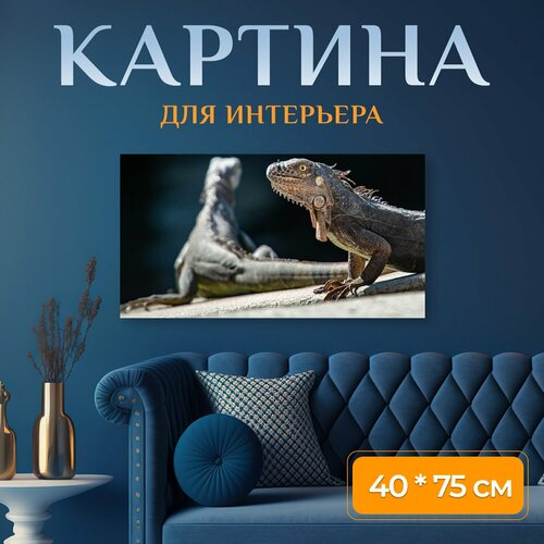 Картина на холсте "Игуаны, рептилии, ящерица" на подрамнике 75х40 см. для интерьера