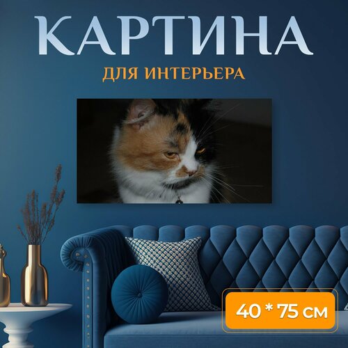Картина на холсте "Кошка, животные, кот" на подрамнике 75х40 см. для интерьера