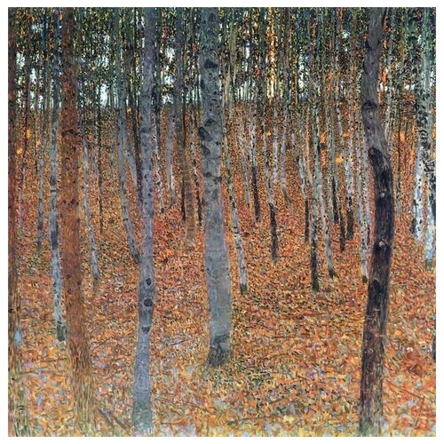 Репродукция на холсте Березовый лес (Birch forest) №2 Климт Густав 50см. x 50см.
