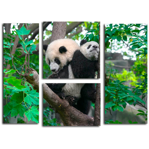 Модульная картина Панда мама и малыш 96х73 см