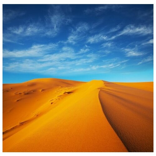Постер на холсте Пустыня (Desert) №9 61см. x 60см.