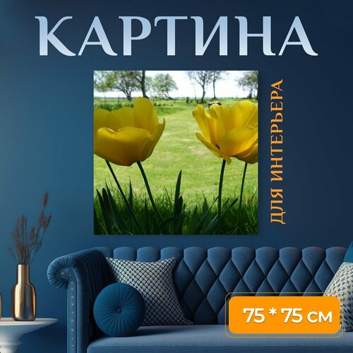 Картина на холсте "Тюльпан, желтый, весна" на подрамнике 75х75 см. для интерьера