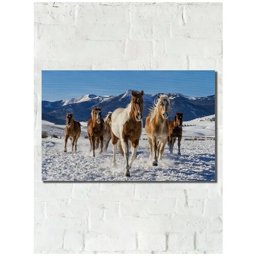 Картина интерьерная на дереве Животные (лошади) - 607