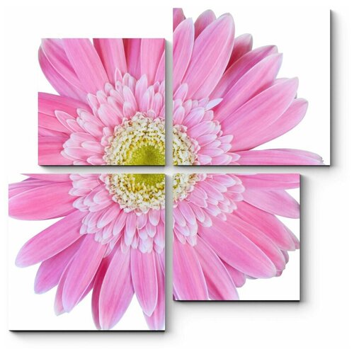 Модульная картина Ярко-розовая гербера70x70