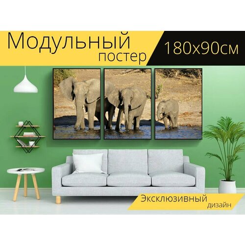 Модульный постер "Слон, воды слон, слоненка" 180 x 90 см. для интерьера