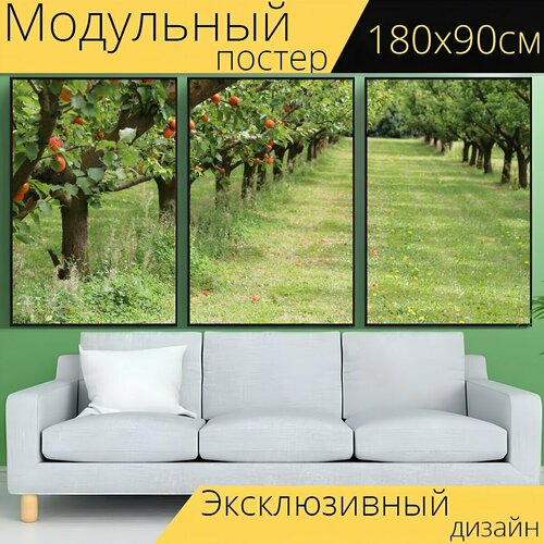 Модульный постер "Природа, абрикосы, деревья" 180 x 90 см. для интерьера