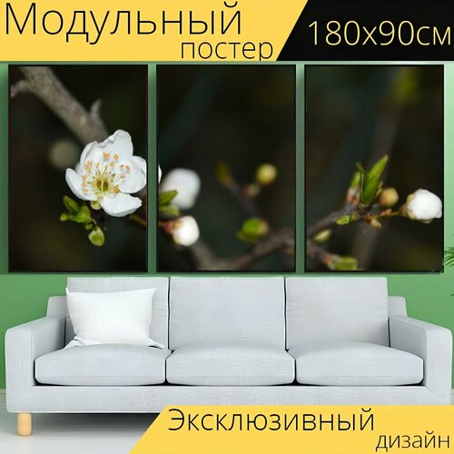 Модульный постер "Цветок, белый, дерево" 180 x 90 см. для интерьера
