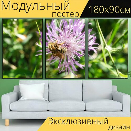 Модульный постер "Пчела, цветок, насекомые" 180 x 90 см. для интерьера