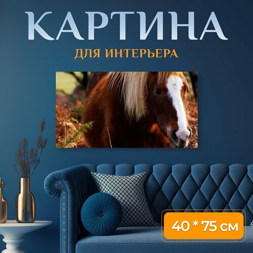 Картина на холсте "Лошадь, животное, пейзаж" на подрамнике 75х40 см. для интерьера