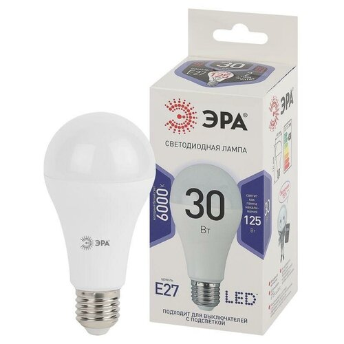 Лампа светодиодная LED A65-30W-860-E27 A65 30Вт груша E27 холод. бел. | код. Б0048017 | Эра (30шт. в упак.)