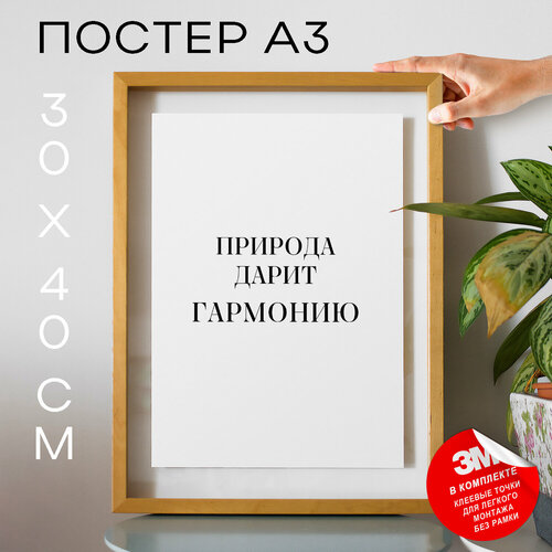 Плакат интерьерный на стену - про природу и экологию Природа дарит гармонию, 30х40, А3
