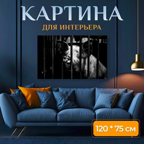 Картина на холсте "Животное, свинья, закрыть" на подрамнике 120х75 см. для интерьера