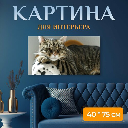Картина на холсте "Кот, тигр, тихий" на подрамнике 75х40 см. для интерьера