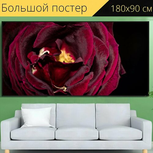 Большой постер "Цветок, роза, любовь" 180 x 90 см. для интерьера