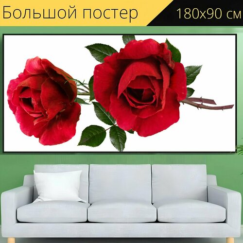 Большой постер "Розы, красный, ароматный" 180 x 90 см. для интерьера