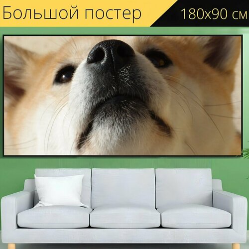 Большой постер "Собака, сиба ину, нос" 180 x 90 см. для интерьера