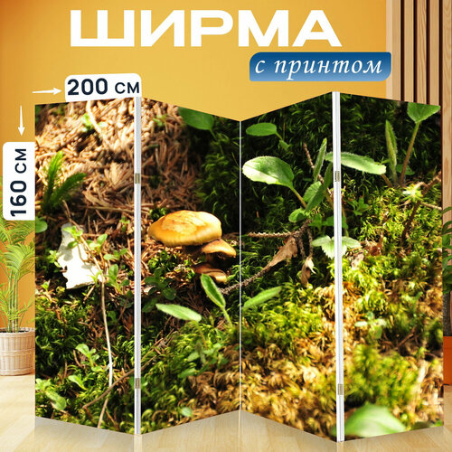 Ширма перегородка с принтом "Осеннее впечатление, лес, гриб" на холсте - 200x160 см. для зонирования, раскладная