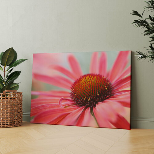 Картина на холсте (Розовый цветок, цветная ромашка, растение, природа) 30 40 см/для интерьера/в комнату/на стену/в подарок