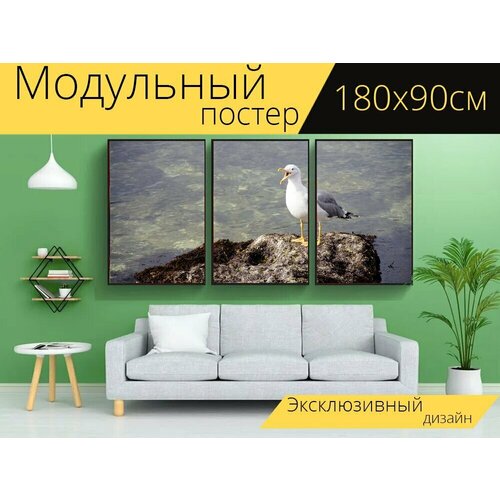 Модульный постер "Орущий баклан, птица, море" 180 x 90 см. для интерьера