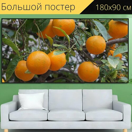 Большой постер "Майорка, фрукты, апельсины" 180 x 90 см. для интерьера