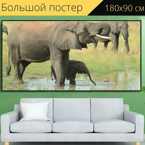 Большой постер "Слон мать и ребенок, слоны, детка" 180 x 90 см. для интерьера