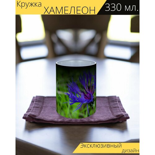 Кружка хамелеон с принтом "Васильковый, цветок, синий" 330 мл.