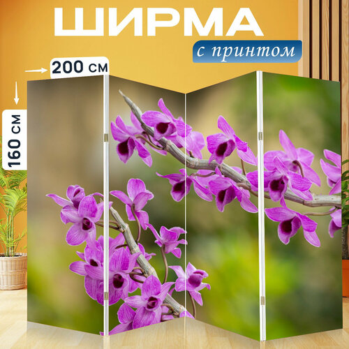 Ширма перегородка с принтом "Орхидея, цветок, сад" на холсте - 200x160 см. для зонирования, раскладная
