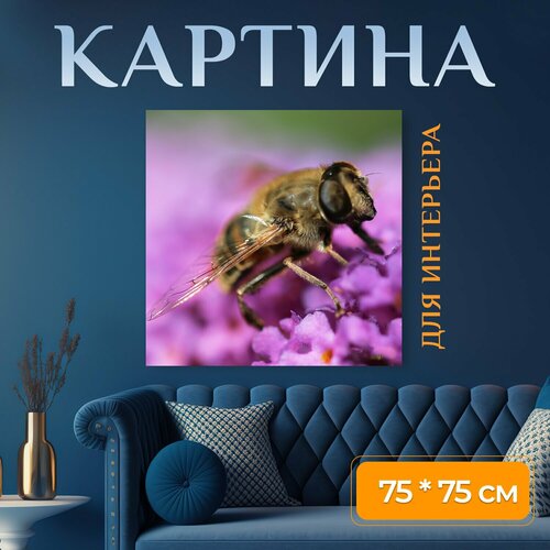 Картина на холсте "Пчела, завод, цветок" на подрамнике 75х75 см. для интерьера