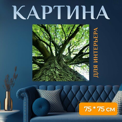 Картина на холсте "Каштан, ствол дерева, дерево" на подрамнике 75х75 см. для интерьера