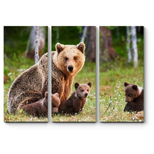 Модульная картина Семья очаровательных медведей 80x57
