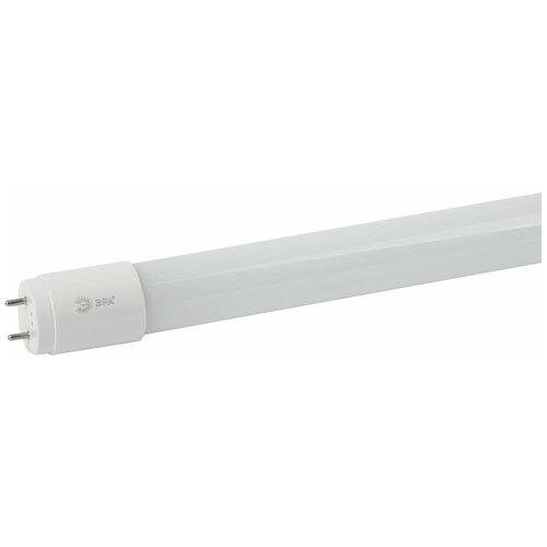 Лампочка Эра T8-10W-840-G13, Нейтральный белый свет, 10 Вт