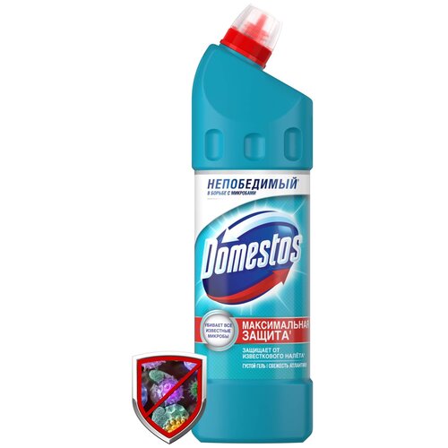 Универсальное cредство Domestos Свежесть Атлантики 1 л