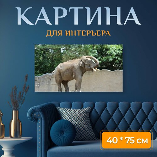 Картина на холсте "Зоопарк, гамбург, слон" на подрамнике 75х40 см. для интерьера