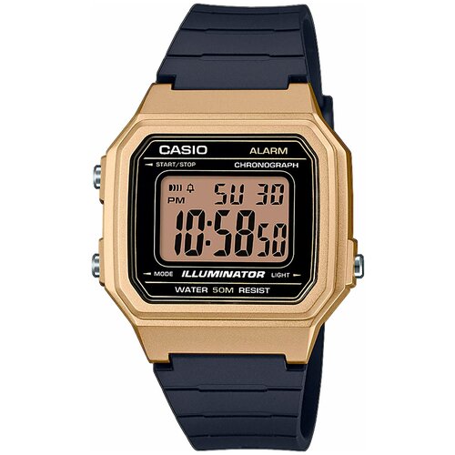 Наручные часы CASIO Collection Men 41386, золотой, черный