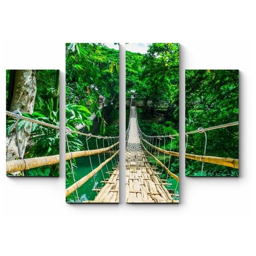 Модульная картина Бамбуковый пешеходный подвесной мост через реку в тропическом лесу 80x60