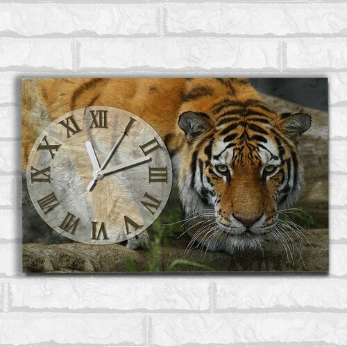 Настенные бесшумные часы ОСБ со смещенным циферблатом Животные Тигр (Кот, цветы милота, Подарок для мамы, бабушки сестры, подруге) - 2561