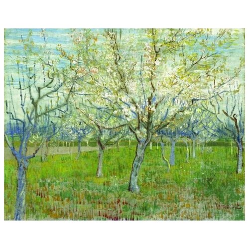 Репродукция на холсте Сад с цветущими абрикосовыми деревьями (Orchard with blossoming apricot trees) Ван Гог Винсент 50см. x 40см.