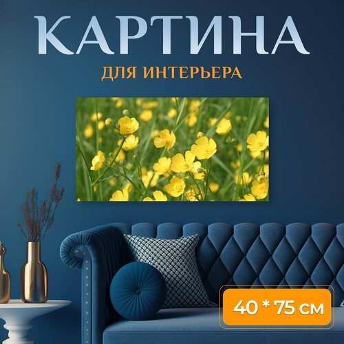 Картина на холсте "Лютик, остроконечный цветок, желтый" на подрамнике 75х40 см. для интерьера
