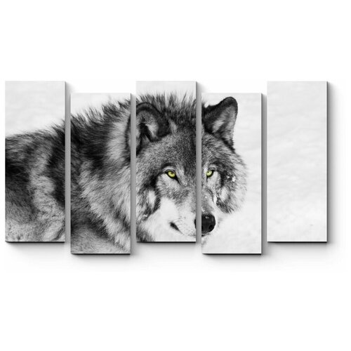 Модульная картина Черно-белый портрет волка 120x69